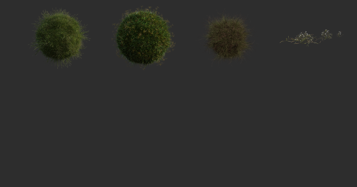 Models: Grass • Poly Haven