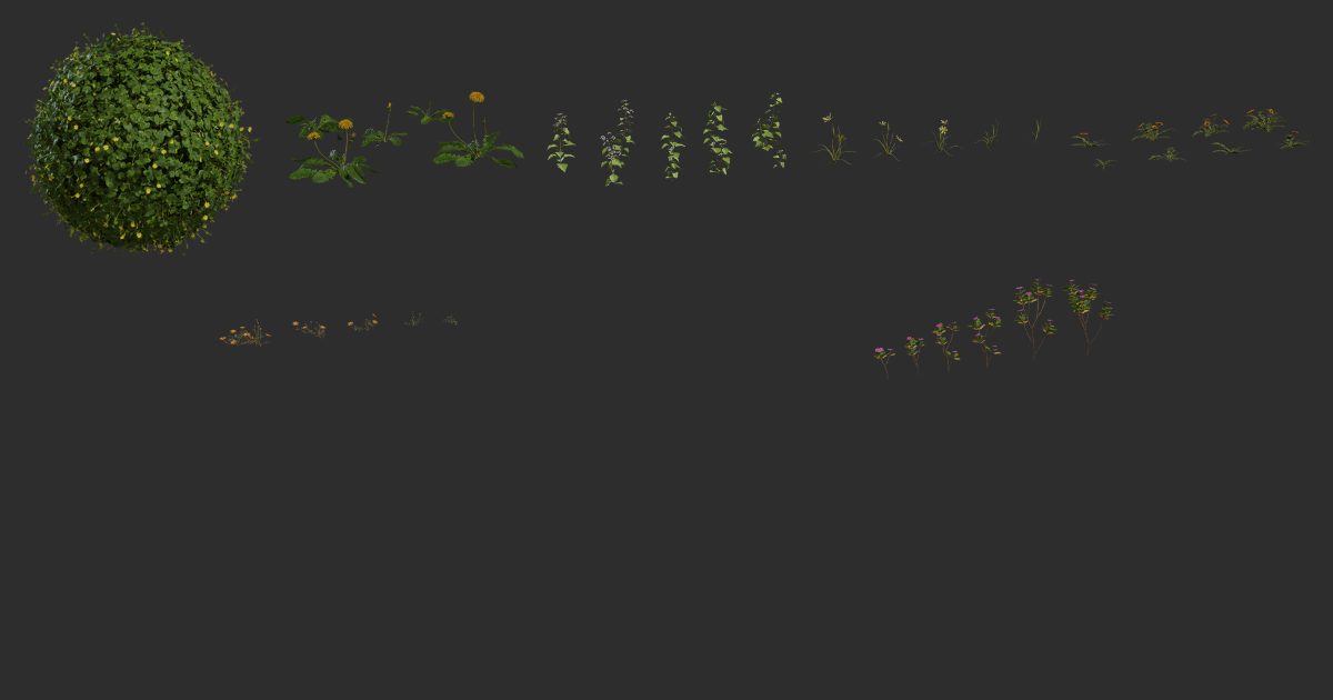 Models: Nature > Flowers > Ground Cover • Poly Haven